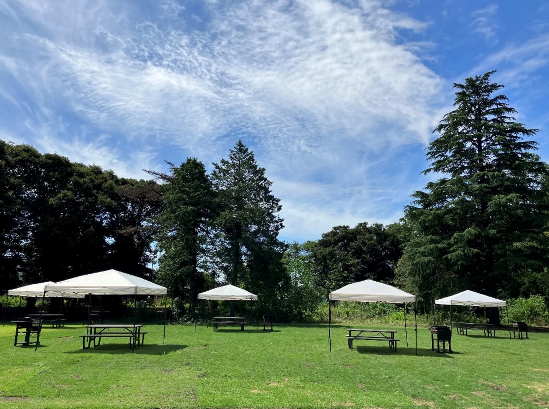 「MUFG PARK」内に森の中の手ぶらBBQ 「LOCAL BBQ 武蔵野」がスタート | 吉祥寺ファンページ